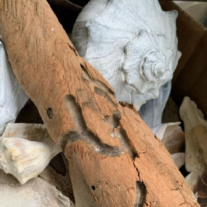 Three New Songs | Ned Oldham and Jordan Perry | jordan perry