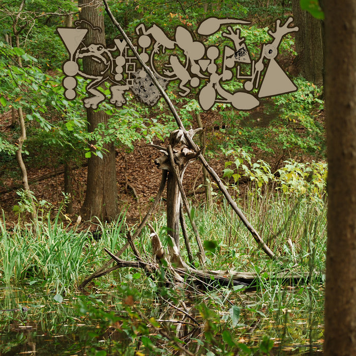 The Kowshead Rowar | Phyllomedusa