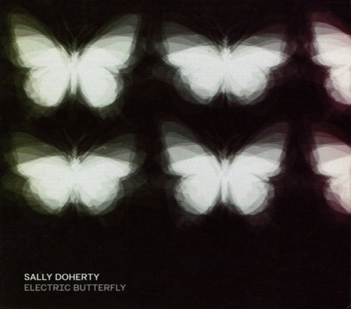 Electric Butterfly | Sally Doherty