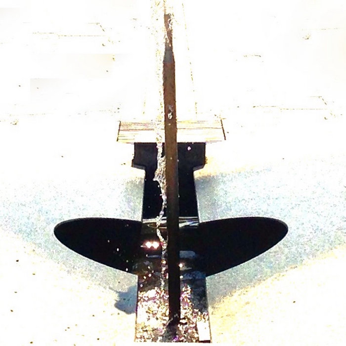 Mycophilia | Sho Shin Duo