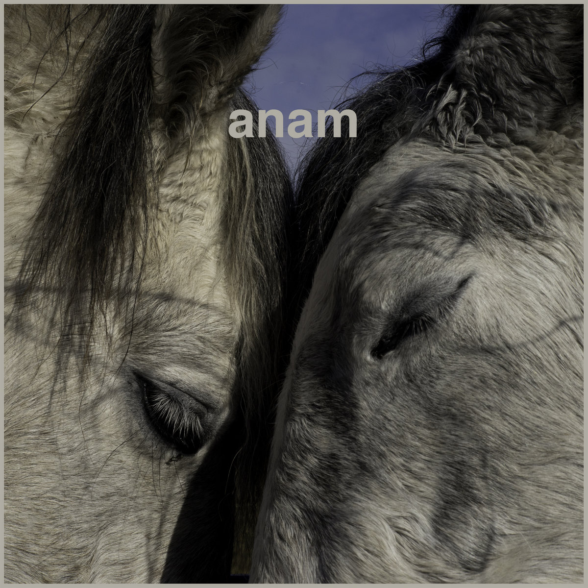 ANAM | Alan Lambert