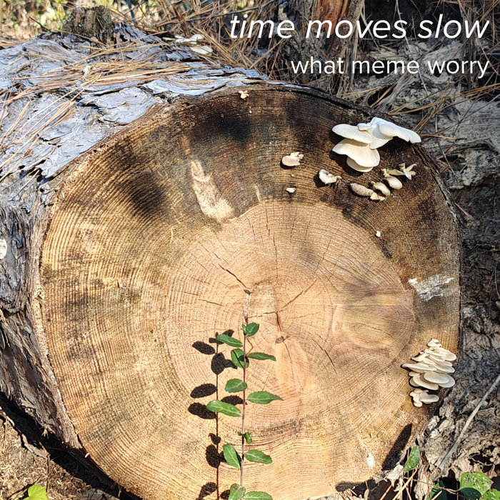 Time Moves Slow | What Meme Worry