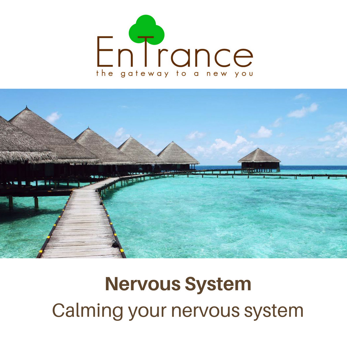 Nervous System - Calming your nervous system | EnTrance