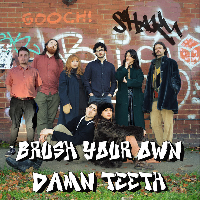 Brush Your Own Damn Teeth (ft. Alice Kim) | Shaku