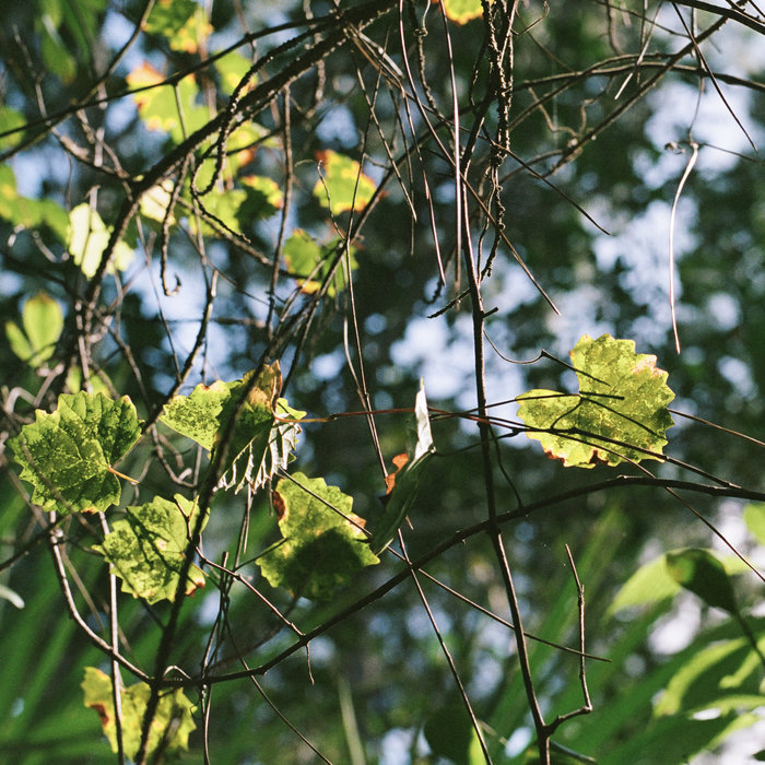 A Hauntological Look at Elliott Smith | Yours is the World