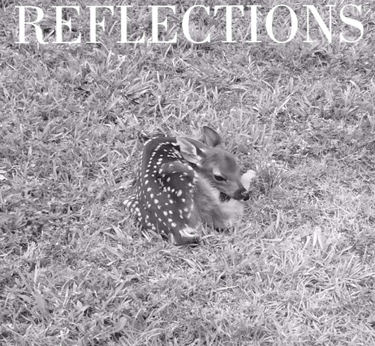 Reflections | James Keener