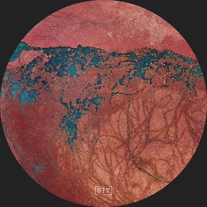 Tlacactoc - Gaussian Bloom | Tlacactoc | Secuencias Temporales