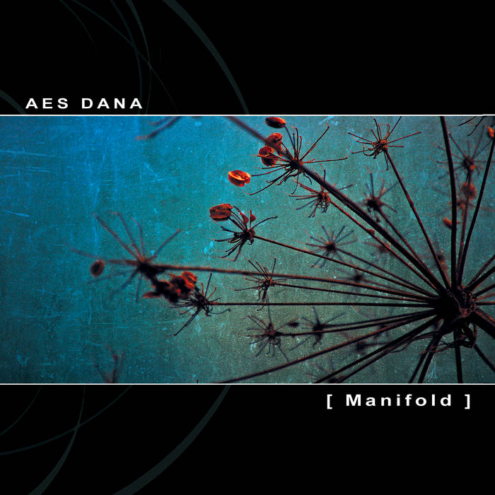 Manifold | AES DANA | Ultimae