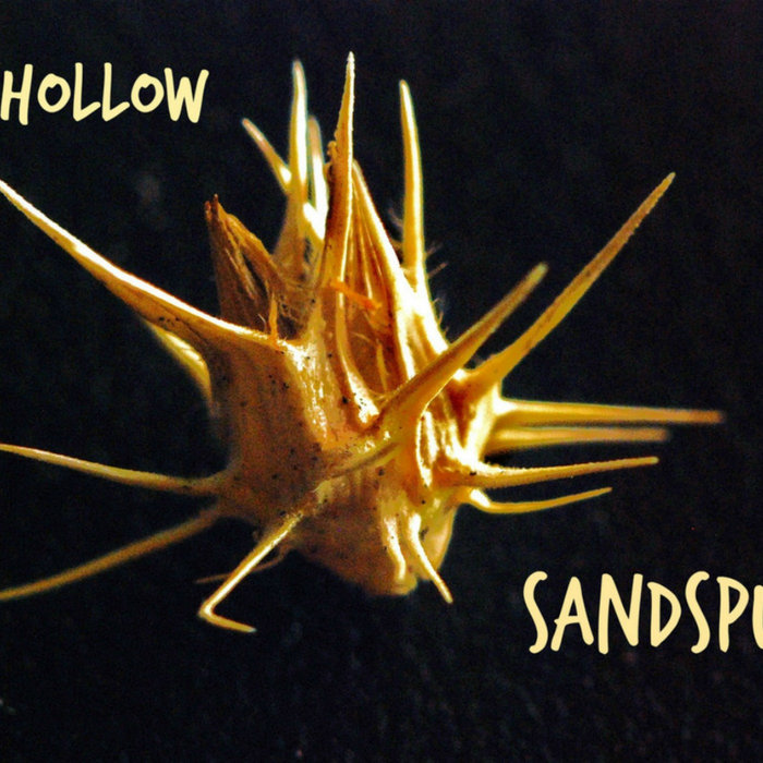 Sandspur | Straxhollow