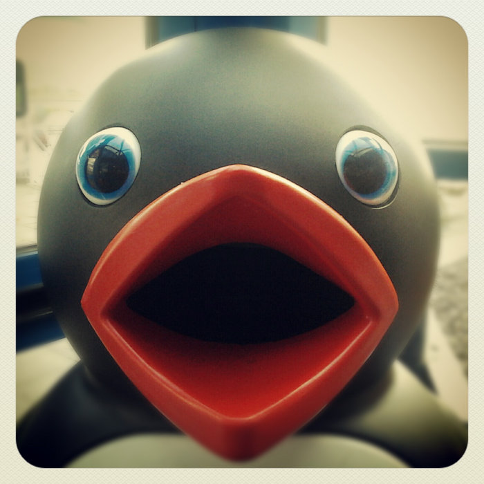 Backing Track Vol. 1 | Brain Kelly & The Some Other People | Brain Kelly