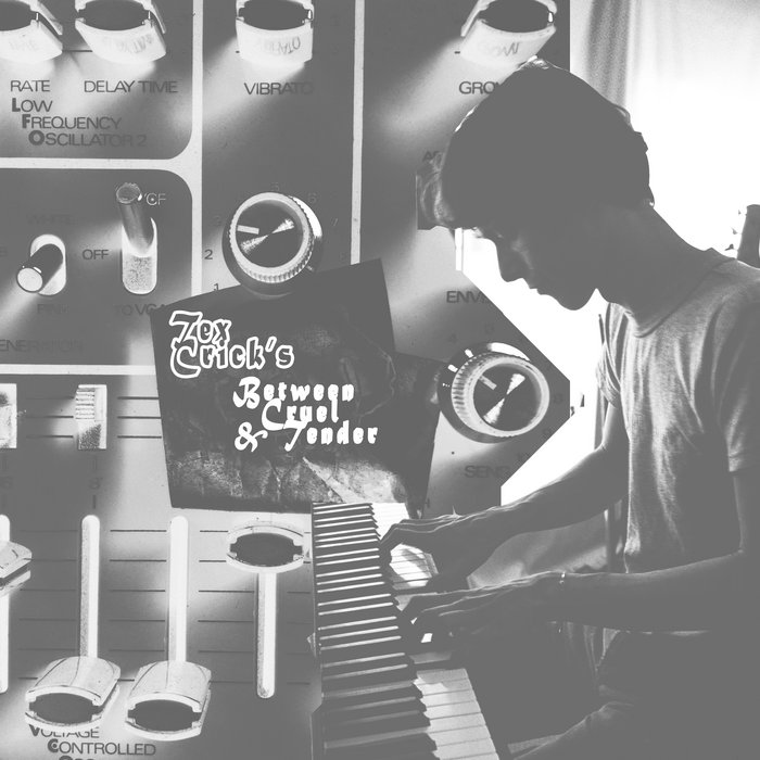 Between Cruel & Tender | Tex Crick