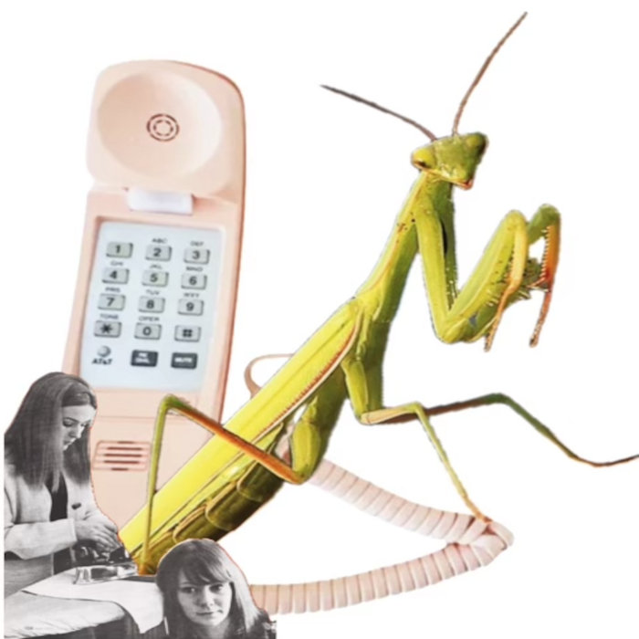 Remote Viewing | headband