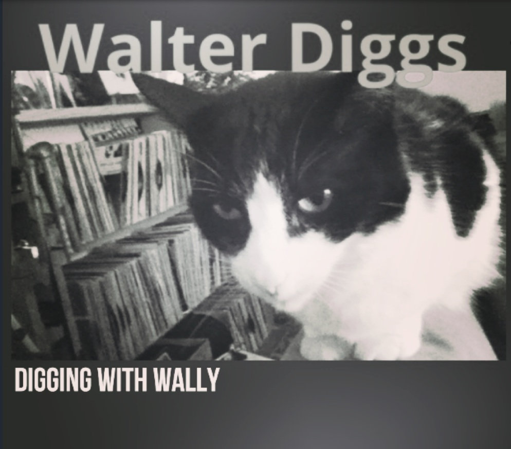 Digging With Wally | Walter Diggs | Shuteyes