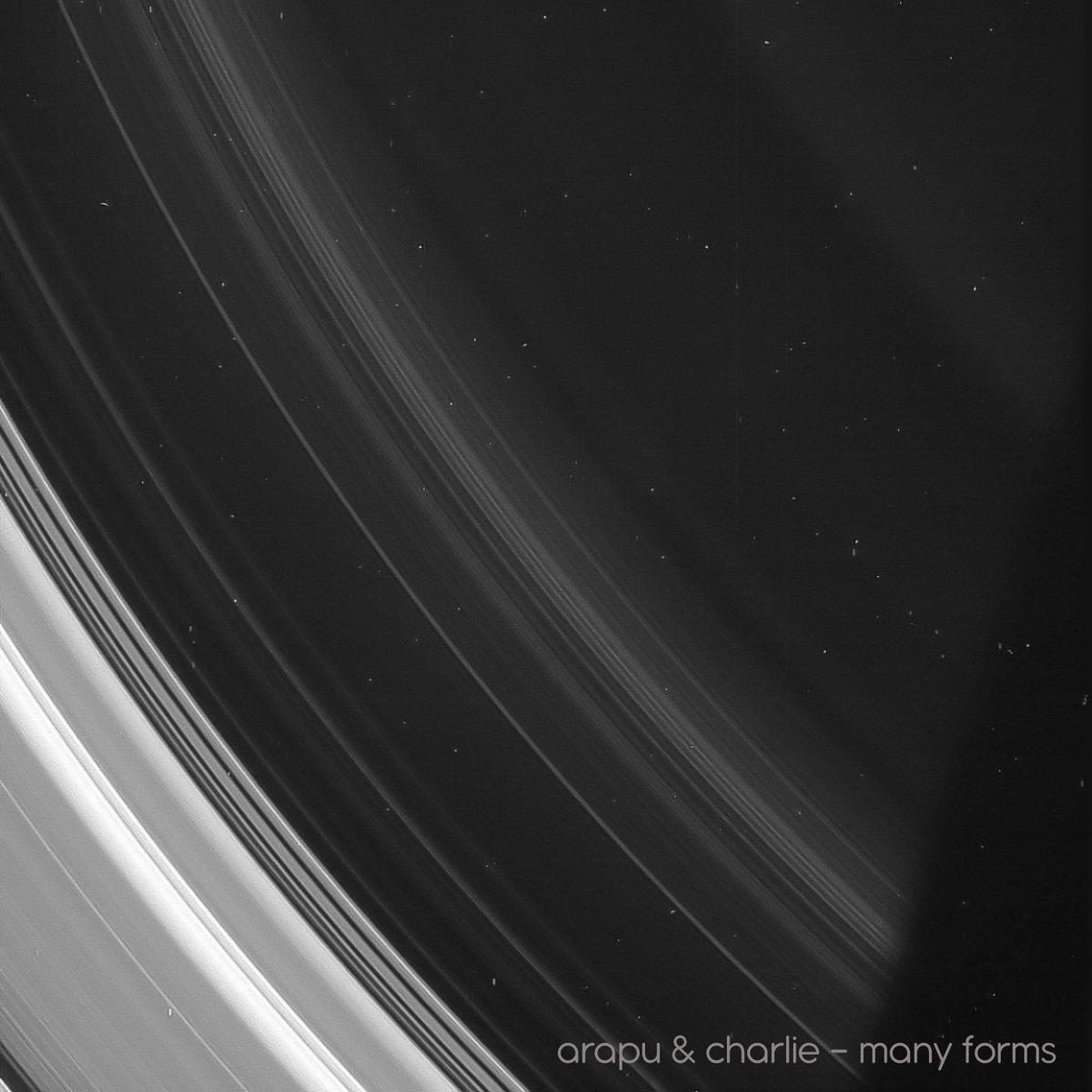 Arapu & Charlie - Many Forms | Arapu