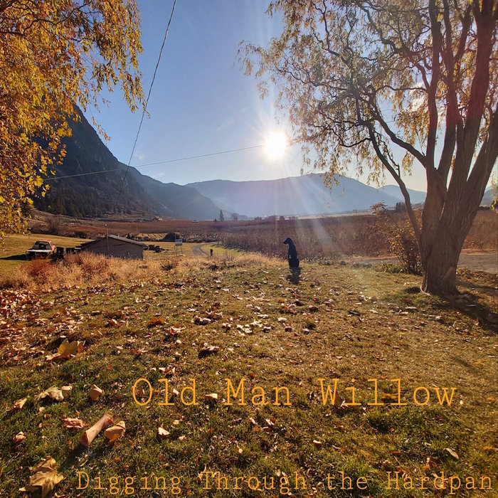 Digging Through The Hardpan | Old Man Willow