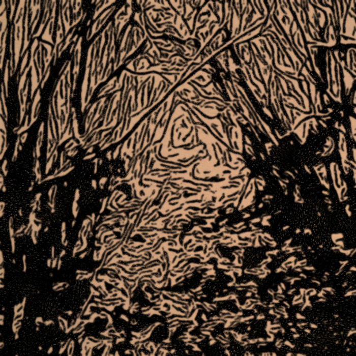Aokigahara | Shinatama | Adhesive Sounds