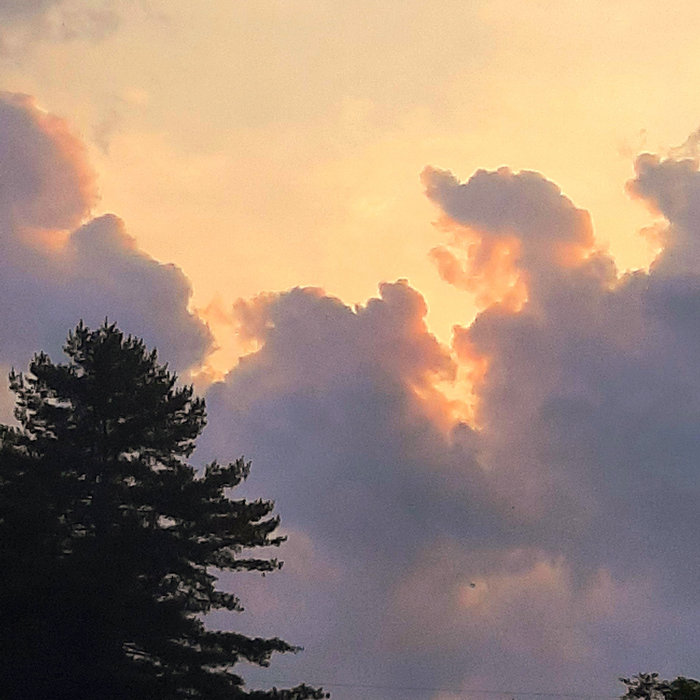 Data_Reset.exe | Bones McGee