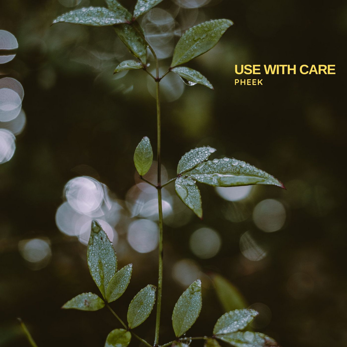 Use With Care (2006) | Pheek
