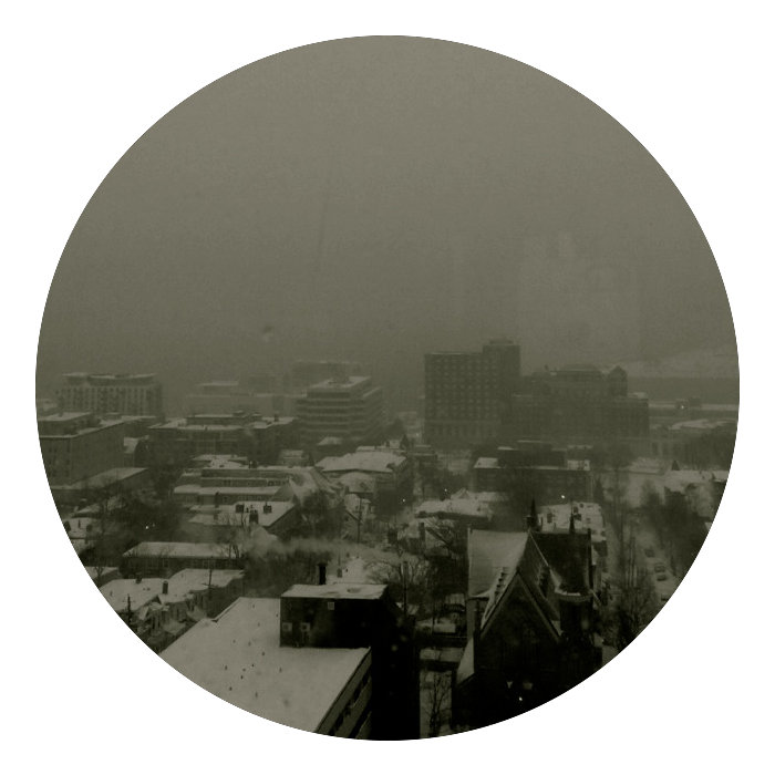 Through The Fog | Logan Hill