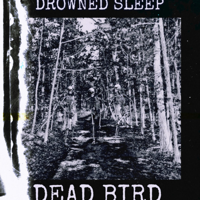 Dead Bird | Drowned Sleep