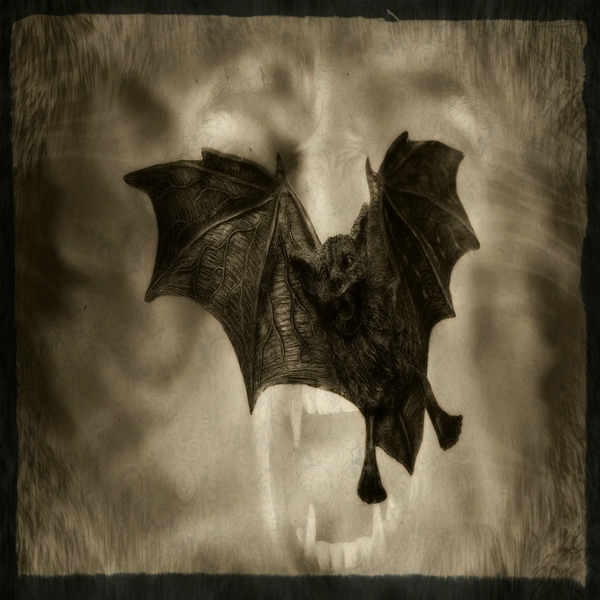 Half Vampire / Half Human | Dhampir | antiVirus