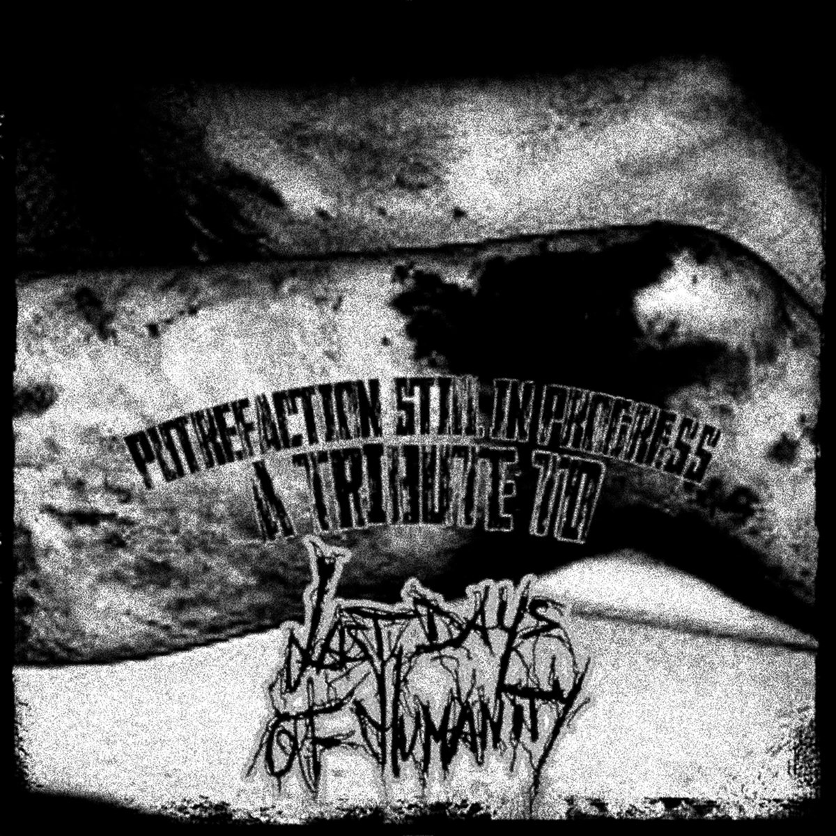PUTREFACTION STILL IN PROGRESS: A TRIBUTE TO LAST DAYS OF HUMANITY ...
