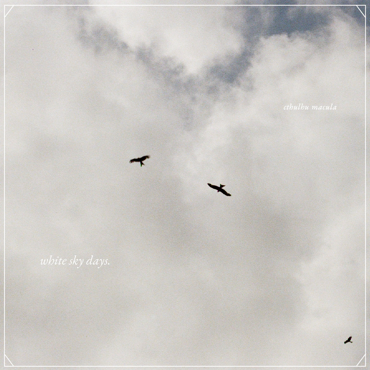 white sky days | cthulhu macula