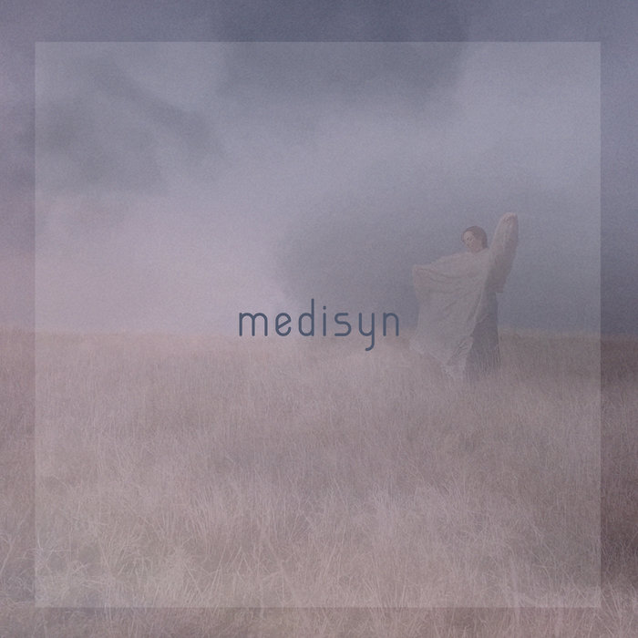 medisyn | DINA