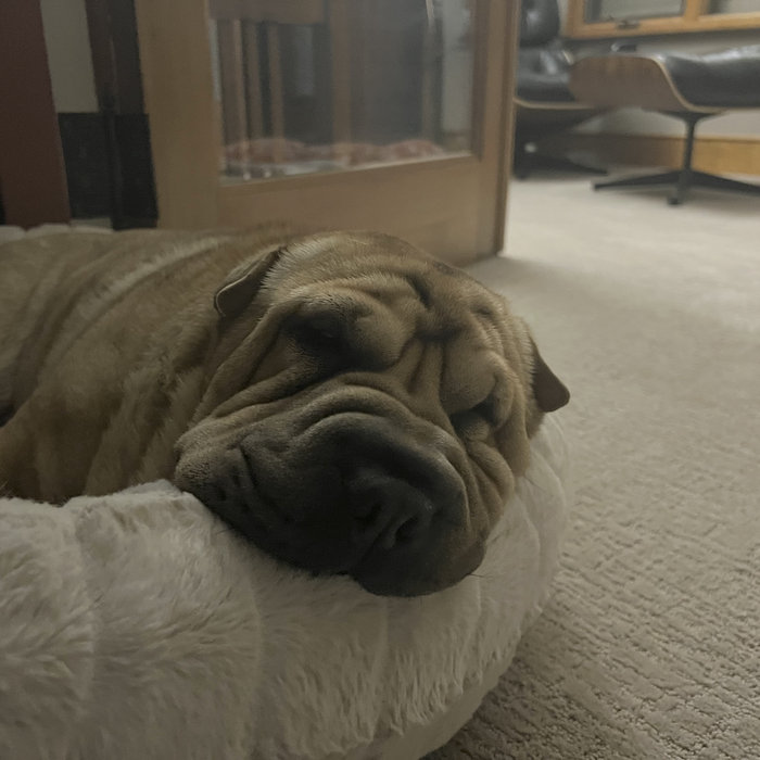 Cutting Time | JamLab