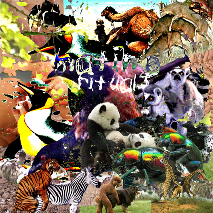 MATING RITUALS EP | Mating Rituals