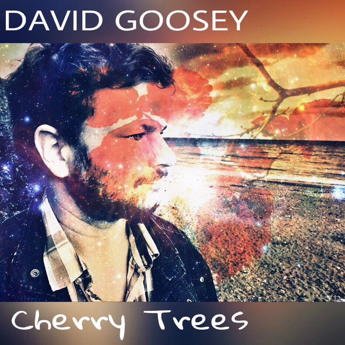 Cherry Trees | David Goosey