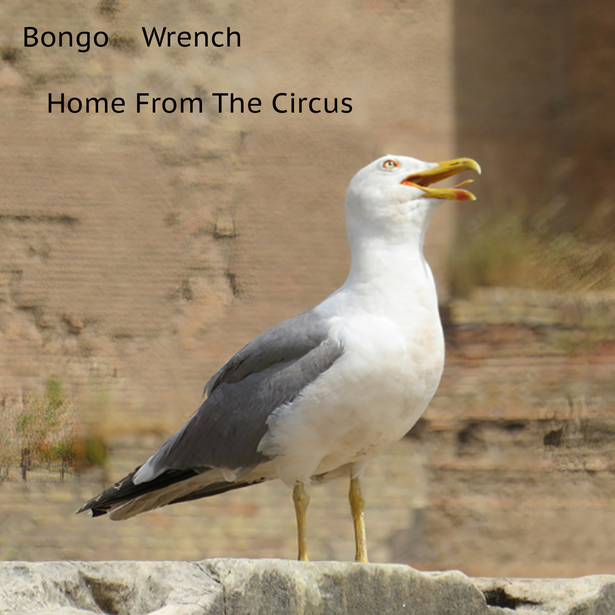 Home From The Circus | Bongo Wrench | Kevin Andrews