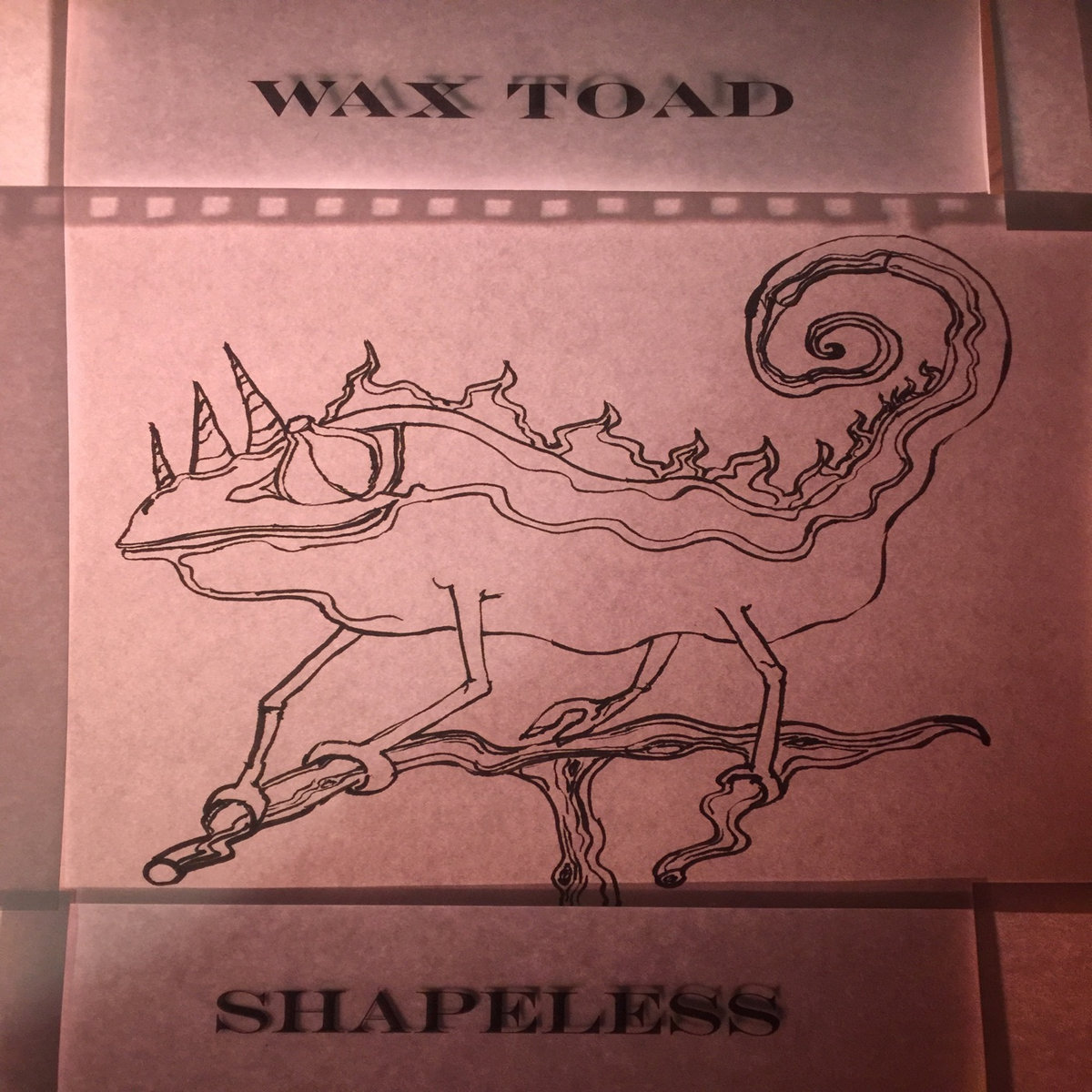 Shapeless - FULL ALBUM | Wax Toad