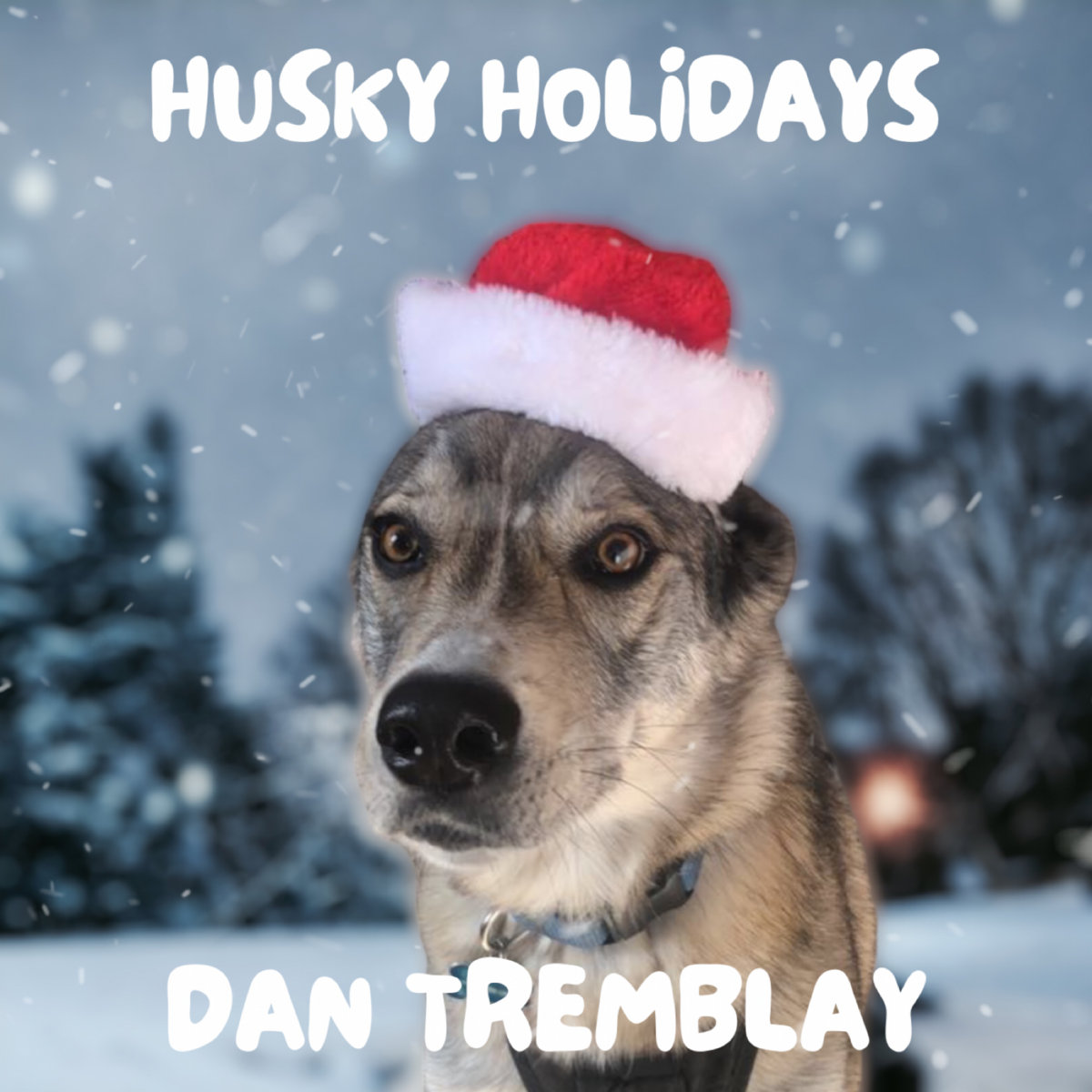 Husky Holidays | Dan Tremblay