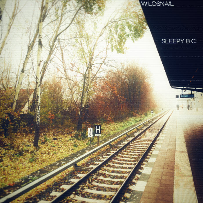 Sleepy B.C. | Wildsnail