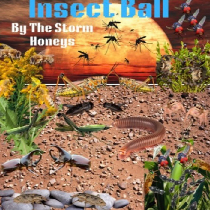 Insect Ball | The Storm Honeys