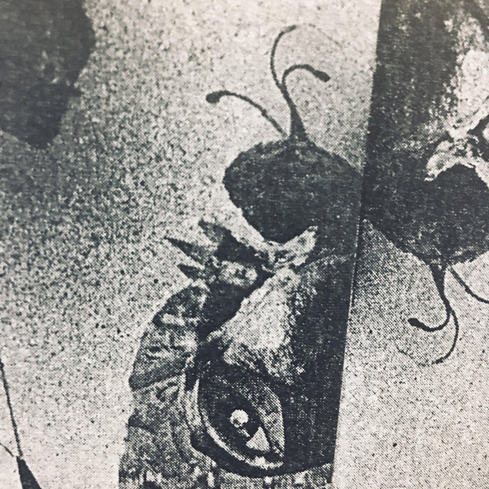 Stagnant Fluids | Stagnant Fluids | POWDER RECORDINGS