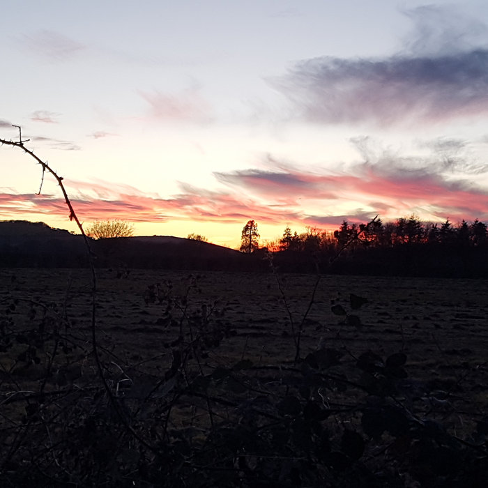 Demos (Jan 2023) | The Utter