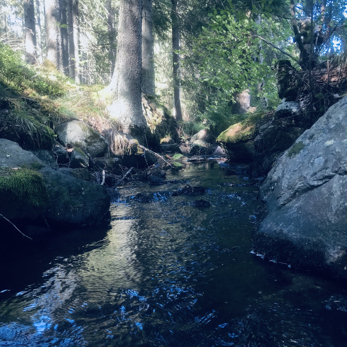 Peaceful Stream | ASMR Sound Lab