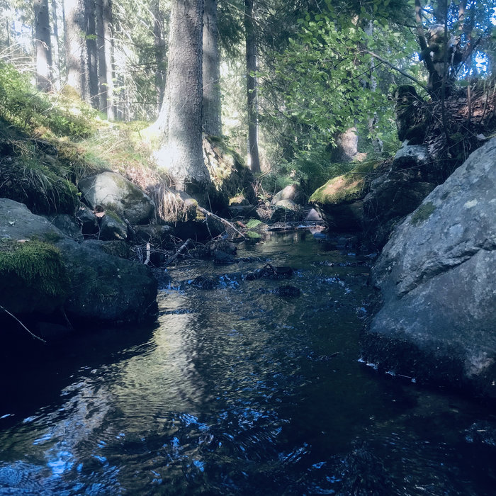Peaceful Stream | ASMR Sound Lab
