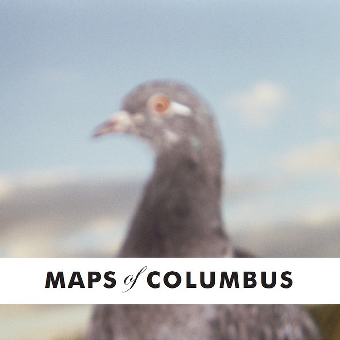 Paper Wasp | Maps of Columbus