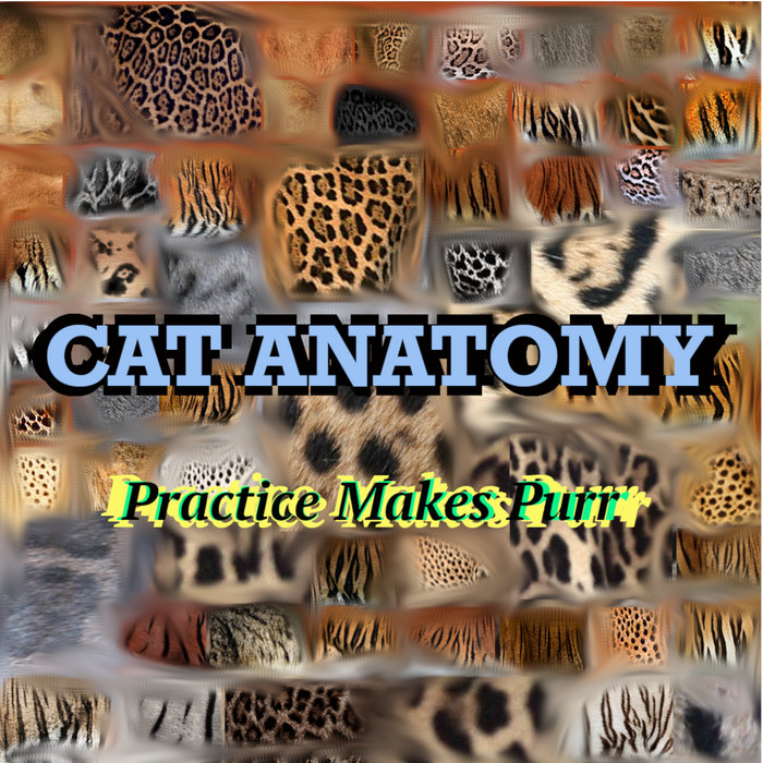 practice makes purr (live demos) | cat anatomy
