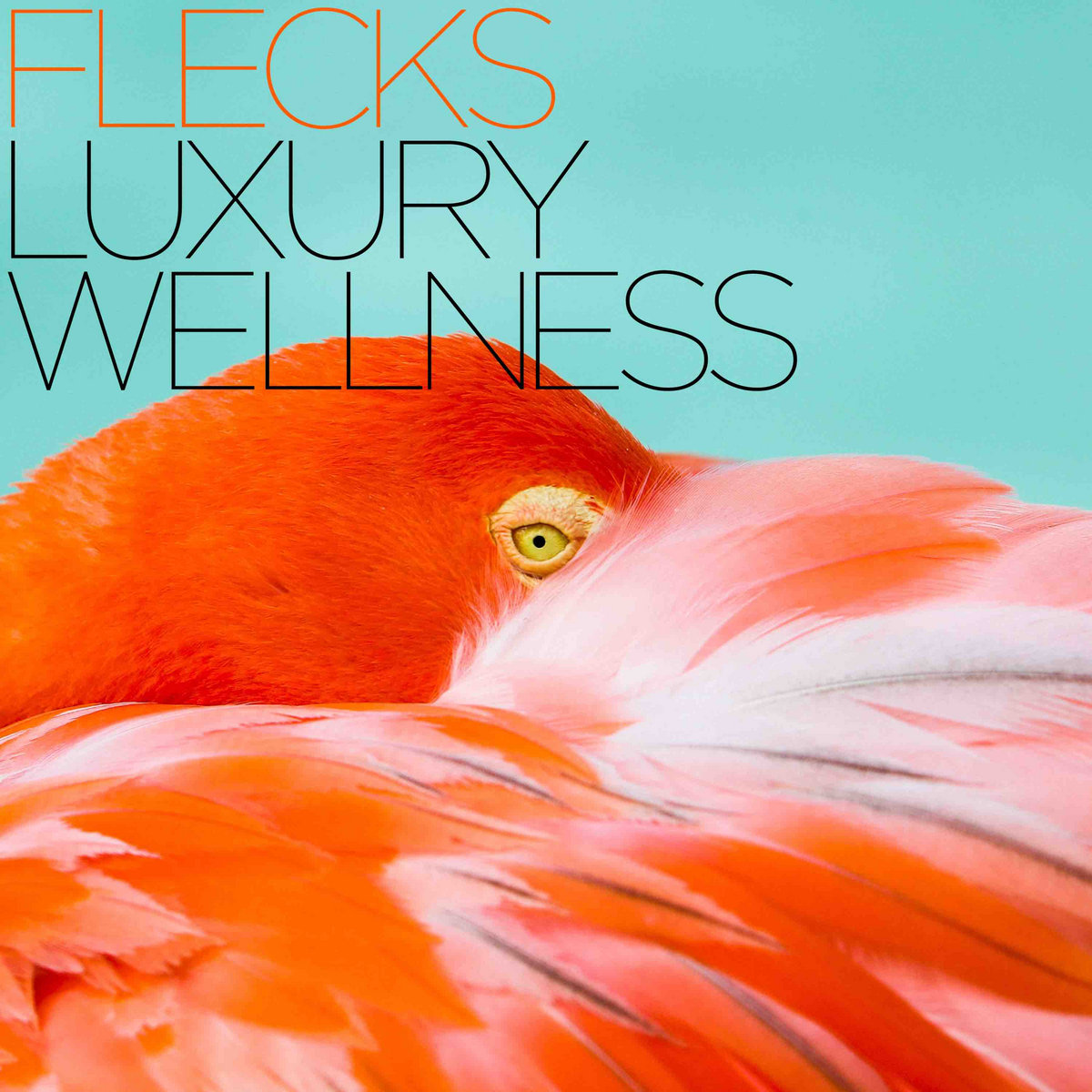 Luxury Wellness EP | flecks