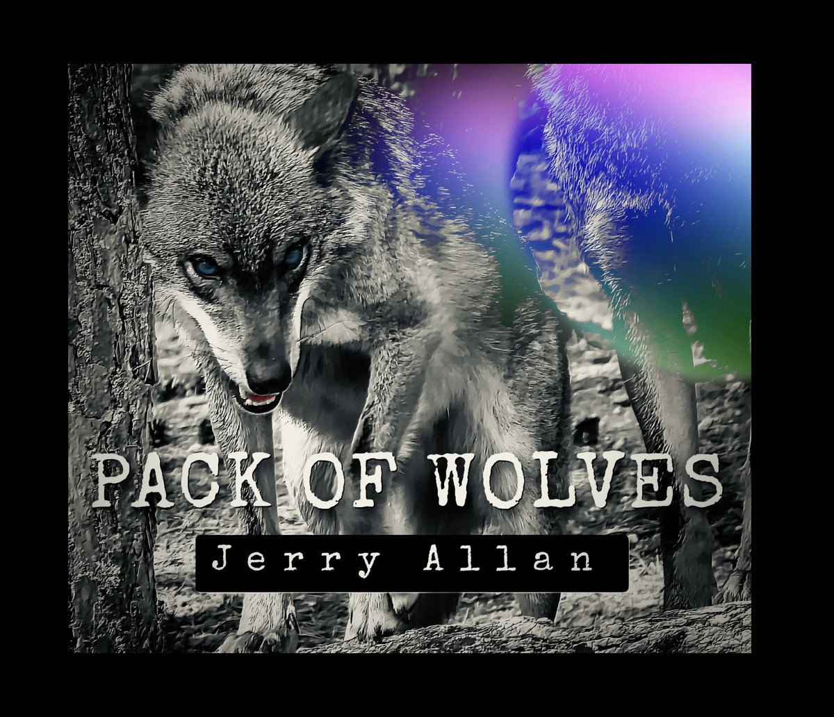 Pack of Wolves | Jerry Allan