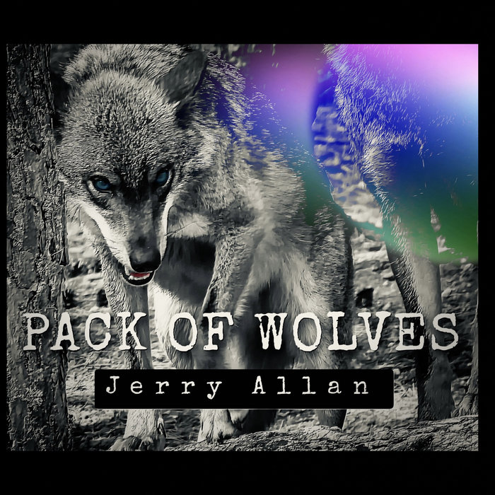 Pack of Wolves | Jerry Allan