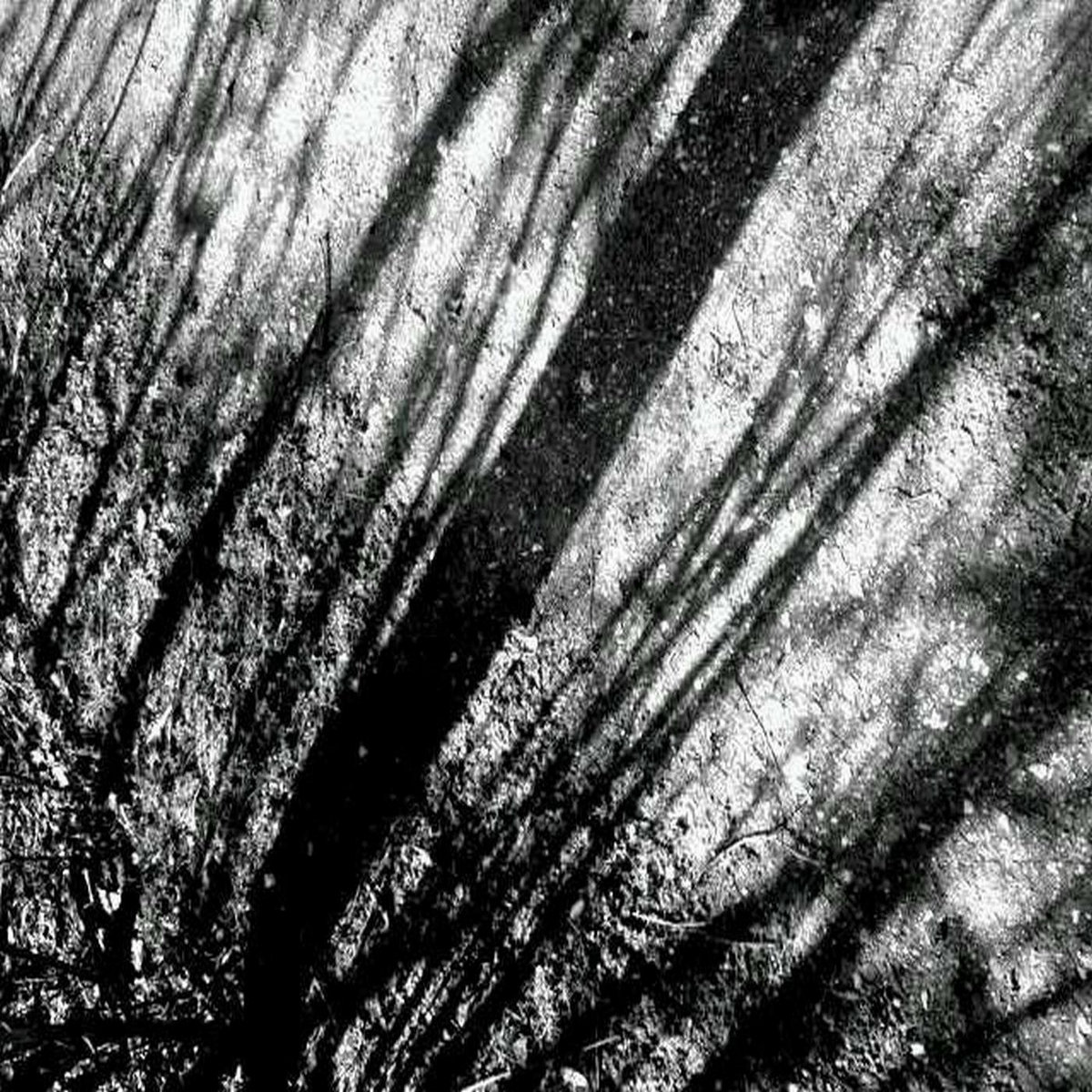 Mei Cuchla - 1 | Peter Perfido - Stefan Bongiu - Nicolas Genest ...