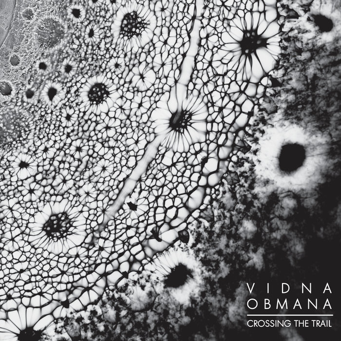 Crossing The Trail | VIDNA OBMANA | Zoharum