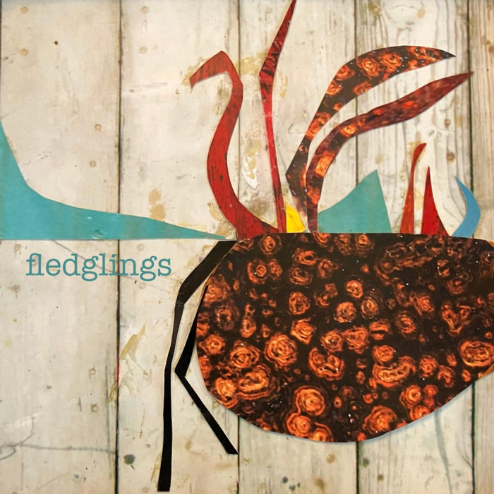 fledglings EP | fledglings