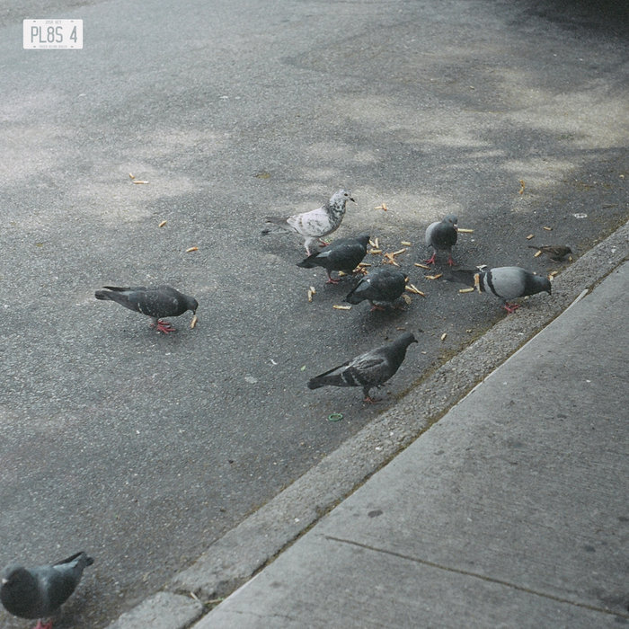 PL8S Volume 4 | Josh Hey