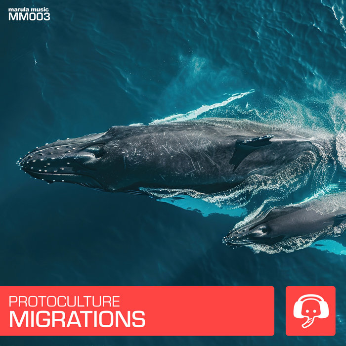 Migrations | Protoculture